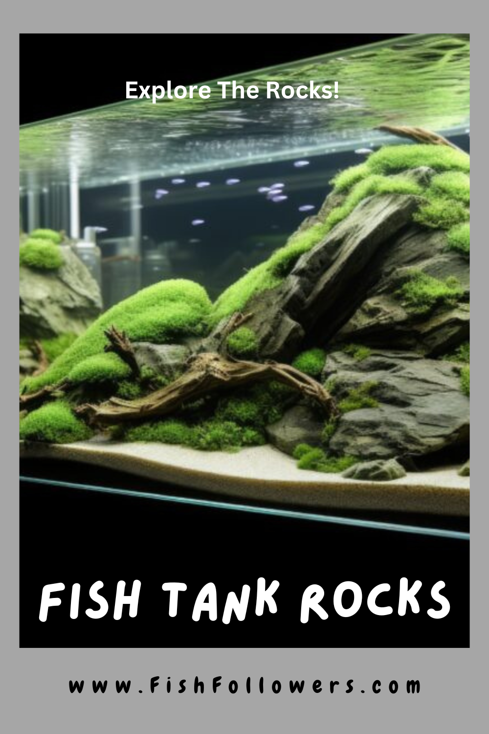 Fish Tank Rocks! Explore The Rocks! - Fish Followers