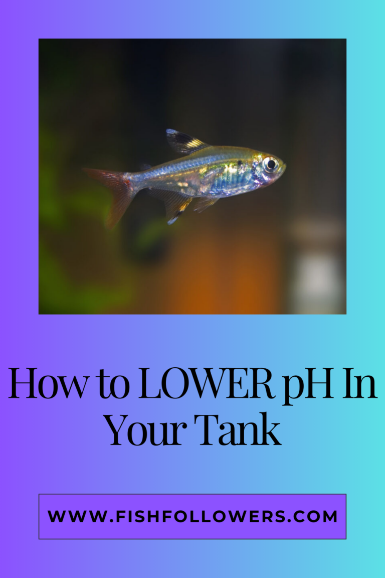 How To Lower pH In Your Tank - Fish Followers