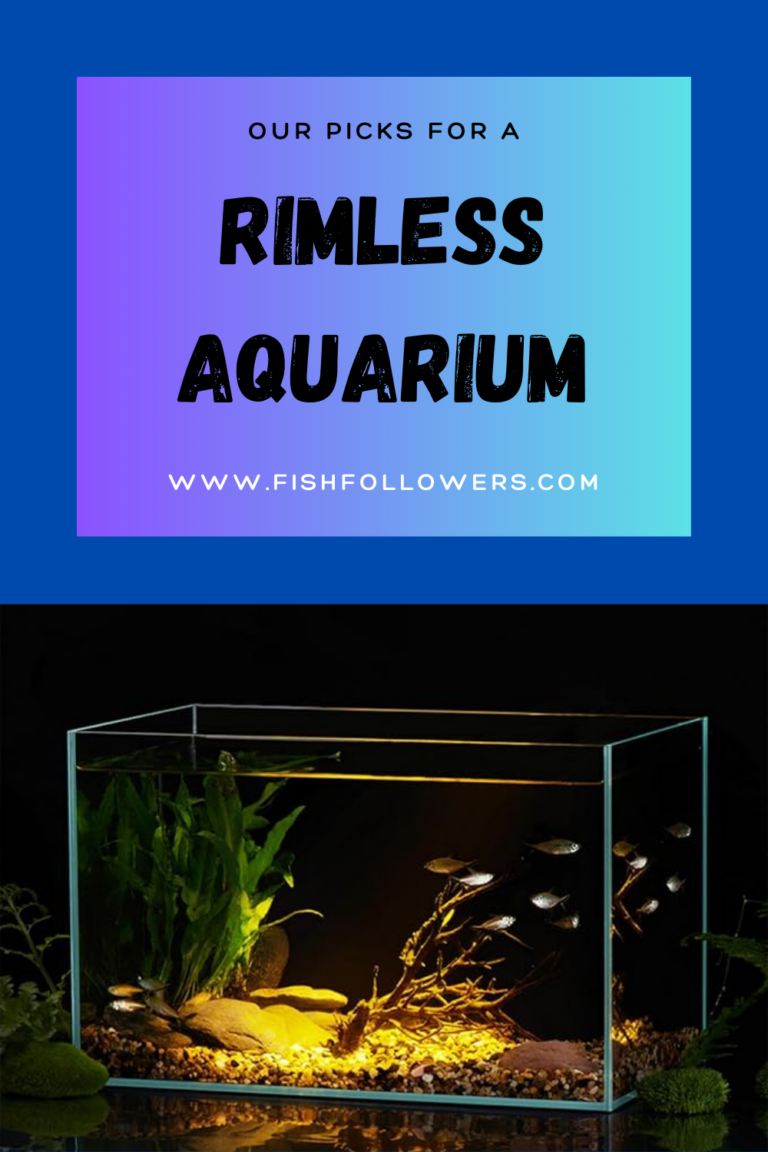 Rimless Aquarium- A Much Better View - Fish Followers