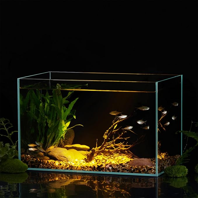 Rimless Aquarium- A Much Better View - Fish Followers